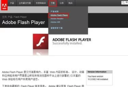 浏览器插件shockwave flash崩溃了怎么解决_360新知