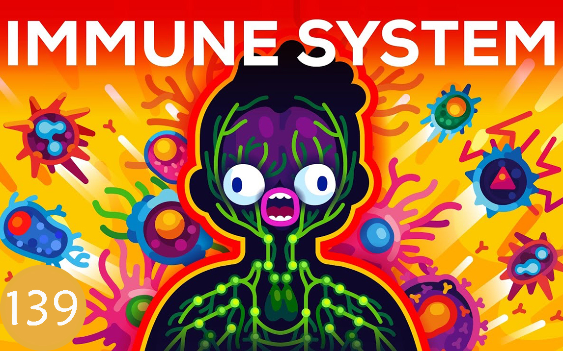 How the Immune System Works.pdf - 微盘下载 - 小不点搜索